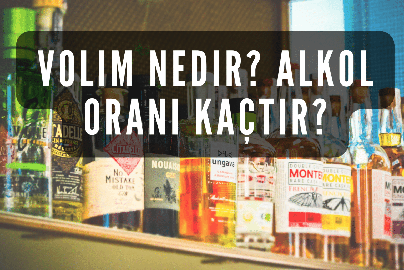 Volim Nedir? Alkol Oranı Kaçtır? - GecBunlari